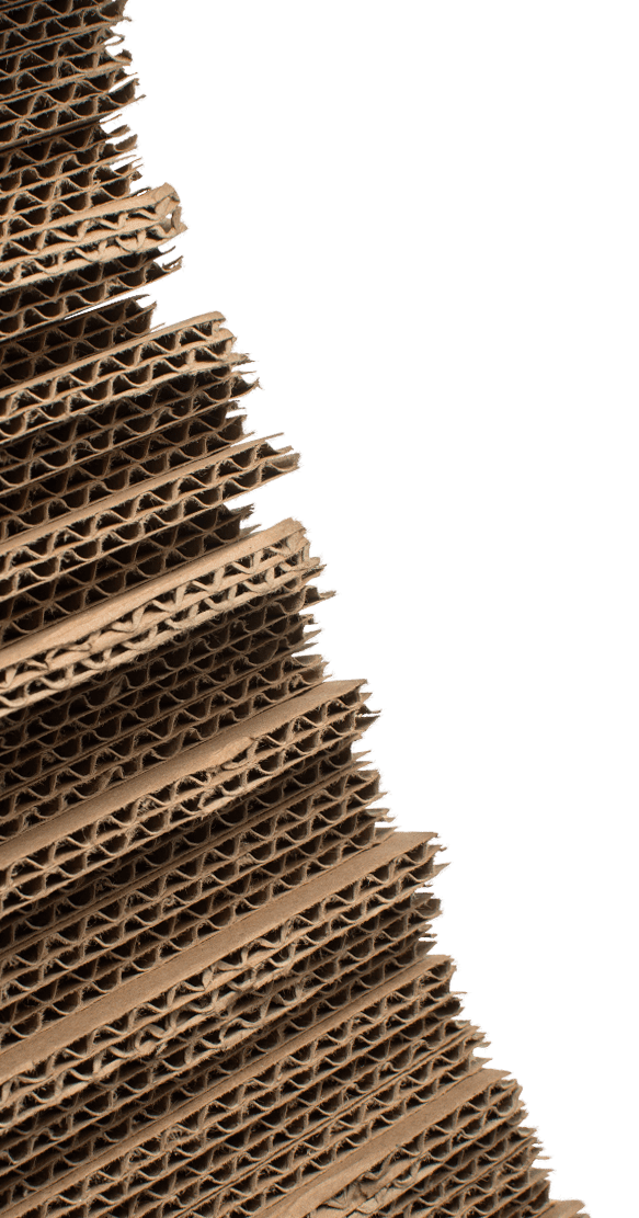 Products | Tyoga Container | Custom Packaging Solutions