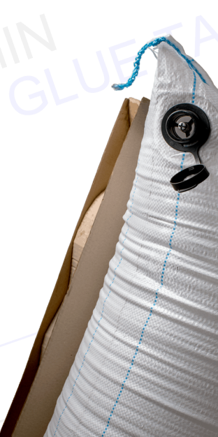 HOME - TYOGA — Go Beyond.